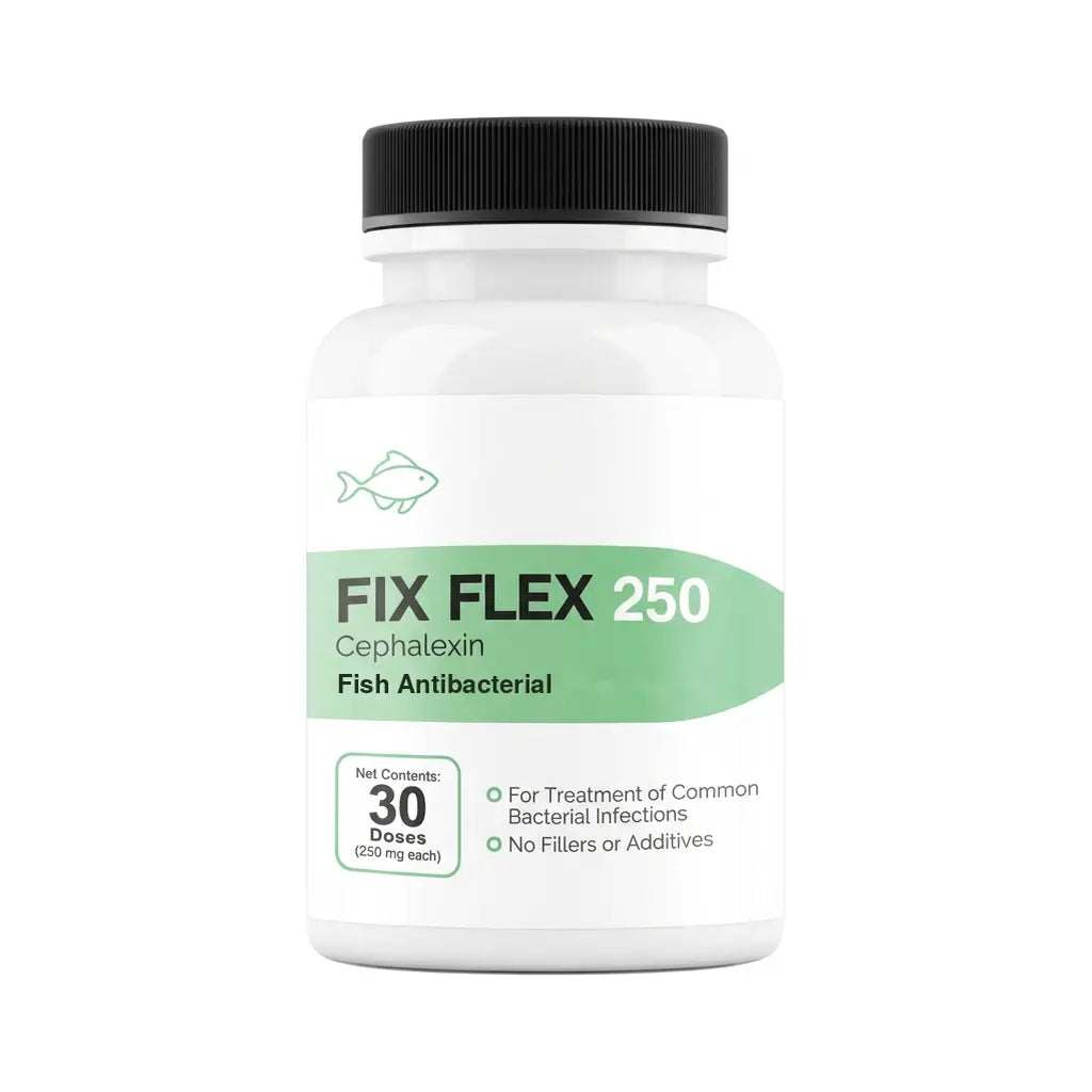 Fish Flex (Cephalexin) 250/500mg Antibacterial Treatment