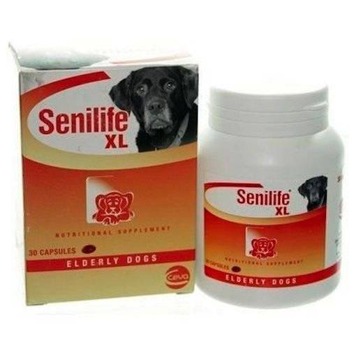 Senilife XL Brain Support Supplement for Elderly Dogs Over 50 lbs 30 C ...
