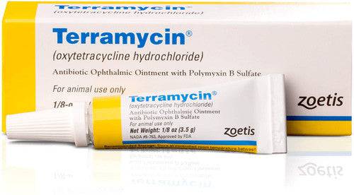 Terramycin Antibiotic Ophthalmic Ointment 3.5 Gram | Finepethealth.com